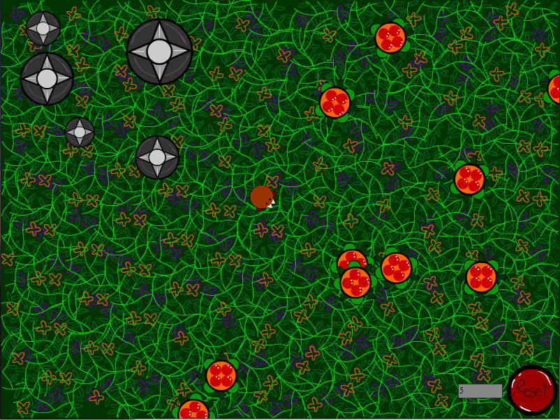 Development – Lawrence Jung
